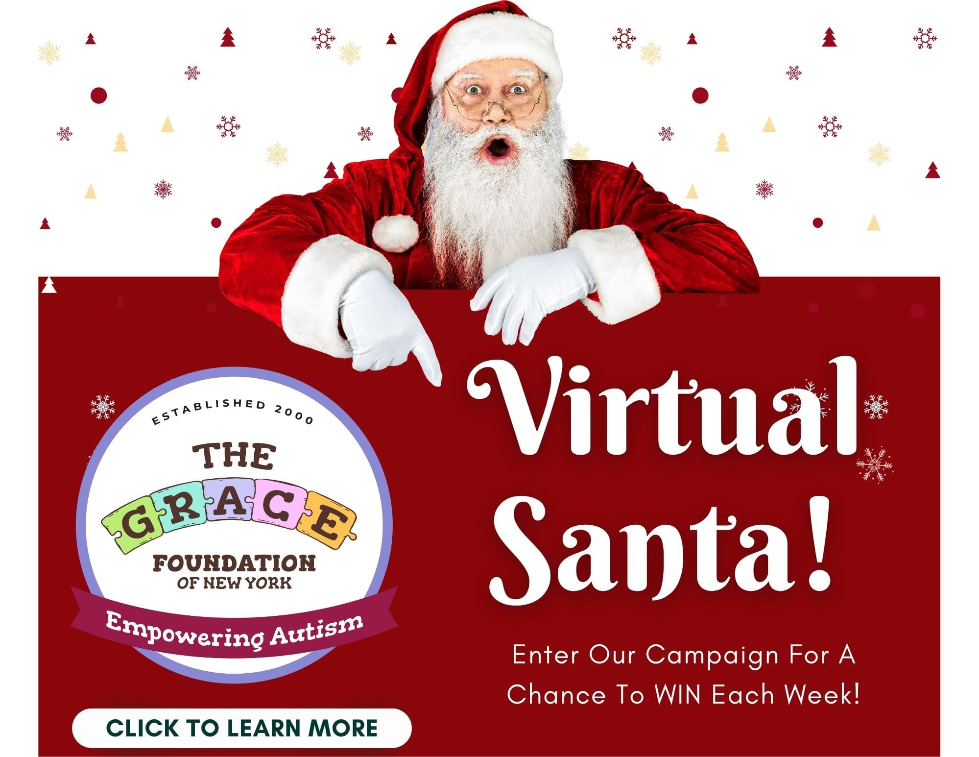 The GRACE Foundation | Virtual Santa Campaign
